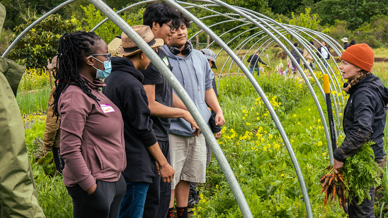 Community Resilience and Empowerment Archives - Makahakama Foundation